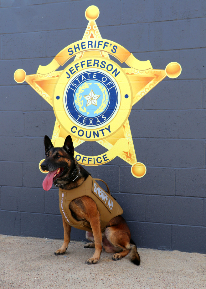 Press Releases - The last of four Protective K9 Vests received by the ...