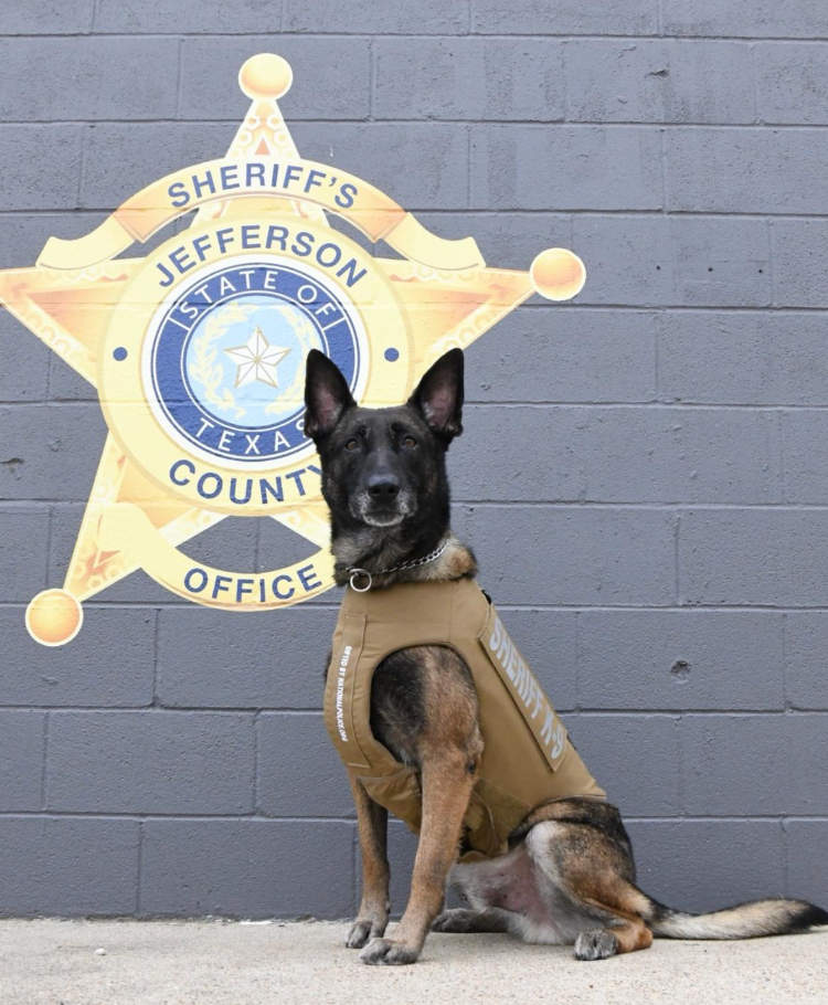 Press Releases - Jefferson County Sheriff’s Office K9 Hunk has received ...